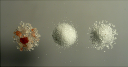 Food Science: Salt - Analytical Answers